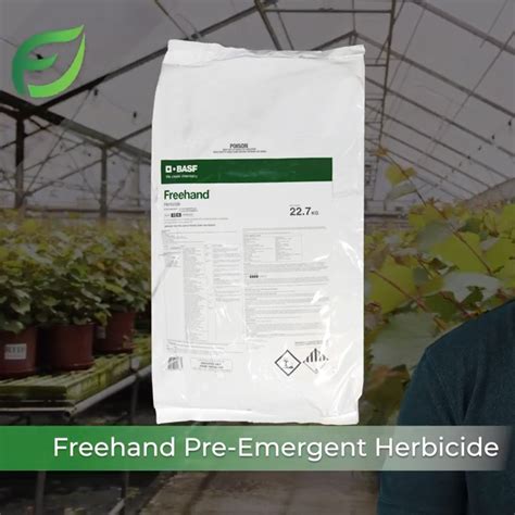 Pre Emergent Herbicide Pre Emergent Herbicide Guide For Weed Control