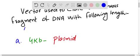 Solved Which Vectors Plasmid Phage λ Cosmid Bacterial Artificial