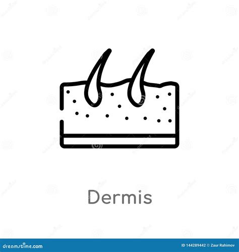 Dermis Vector Icon In 6 Different Modern Styles Black Two Colored Dermis Icons Designed In