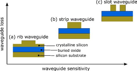 Typical Silicon On Insulator Waveguide Geometries For Optical Biosensing Download Scientific