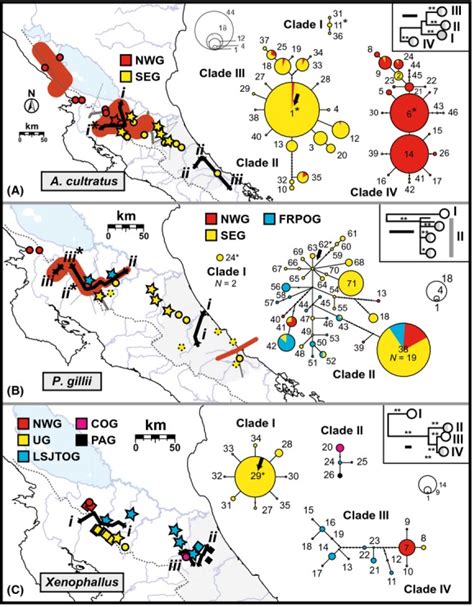 Incongruent Spatial Genetic Structuring Among Nicaraguan Depression
