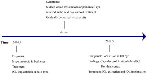 Timeline Of The Patient Before And After Icl Implantation Icl