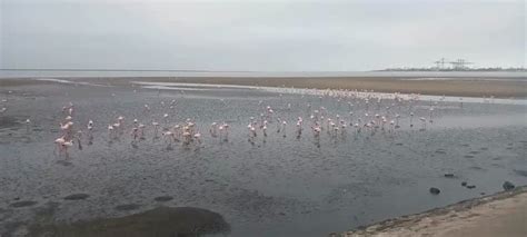 Victor I Ipinge On Linkedin Home Walvis Bay Namibia 🇳🇦