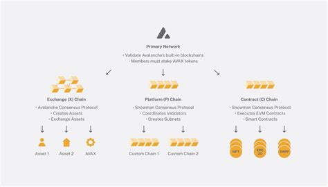 The Avalanche Network Crypto Valley Journal