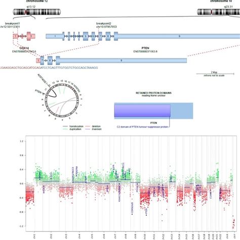 Molecular Findings Rnaseq Revealed A Reading Frame Unclear Transcript