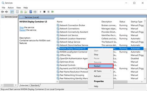 Fix NVIDIA Container High CPU Usage On Windows TechCult