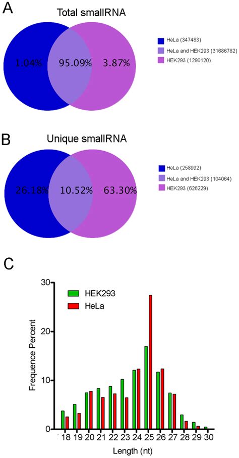 Generation And Analysis Of Srna Sequences From Mitochondria Srna Download Scientific Diagram