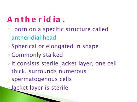 Structural Variations In Reproductive Structures Of Division Bryophyta PPT