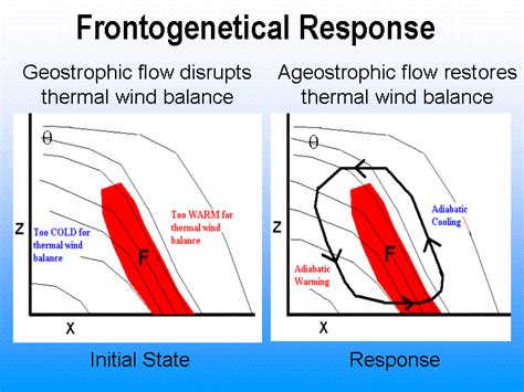 Cross Section Showing The Ageostrophic Response To Frontogenesis Download Scientific Diagram