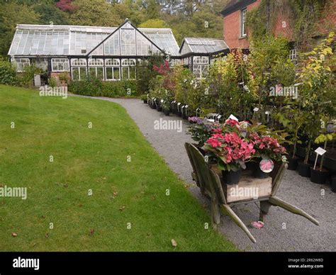 A Decorative Wooden Wheelbarrow Full Of Hydrangeas Parked In Front Of