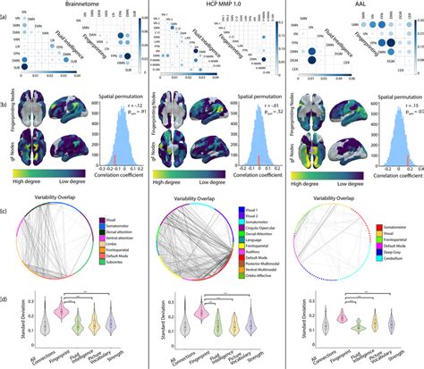 Control Analyses For Different Functional Atlases Results For Download Scientific Diagram