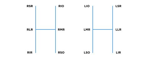 Testing And Management Of Skew Deviation