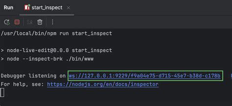 Running And Debugging Nodejs Intellij Idea Documentation