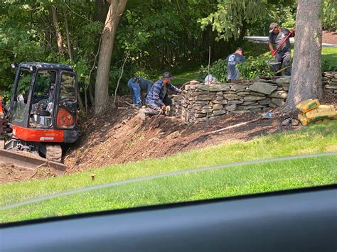 How Professional Tree Services Can Benefit Your Stanfordville NY Property Albany NY Patch