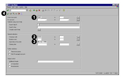 SAP Finance Reports General Ledger Line Items SAP ABAP