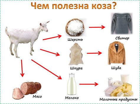 Десяточка : Какую пользу приносят домашние животные?