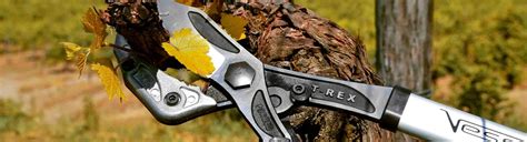 Everything You Need To Know About Tree Loppers Metrogreen