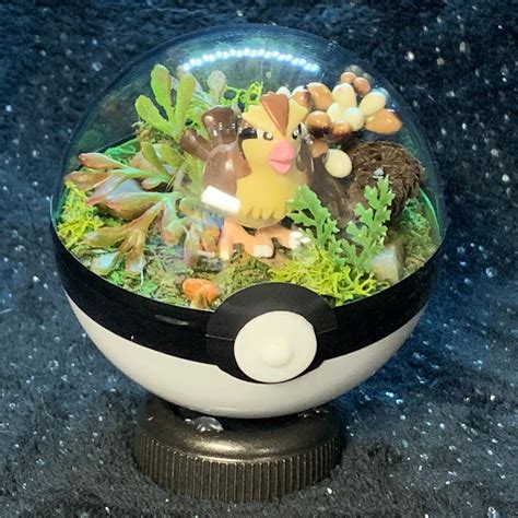 Pidgey Eventeny