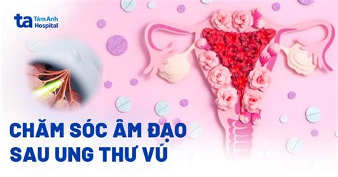 Lo I U V C T Nh Ph Bi N D U Hi U Ch N O N V Ph Ng Ng A