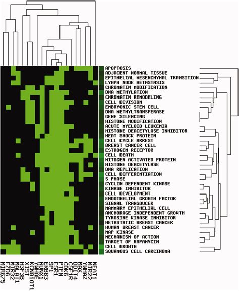 Functional Clustering Of Key Candidates Using Literature Mining Green Download Scientific