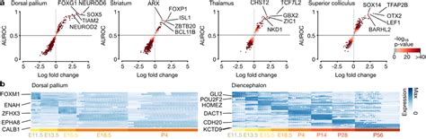Figure S3 Feature Extraction From Voxel Maps Of Developing Mouse Brain Download Scientific