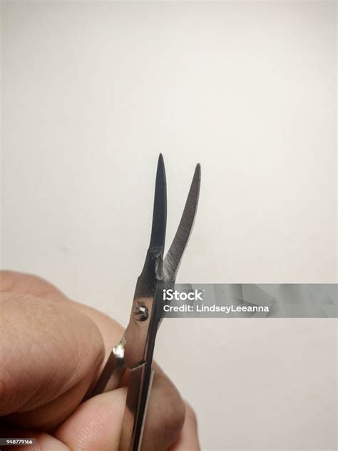 여자의 손 손가락 들고 창과 정밀 금속 손톱이 위 트리머 클리퍼 스 근접 촬영입니다 가위에 대한 스톡 사진 및 기타 이미지