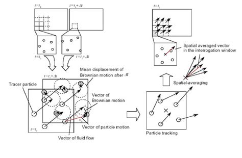 algorithms of piv software koncertoii 2 sat ptv for instantaneous and