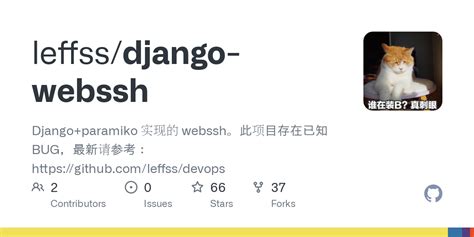 Github Leffssdjango Webssh Djangoparamiko 实现的 Webssh。此项目存在已知bug，最新请参考：