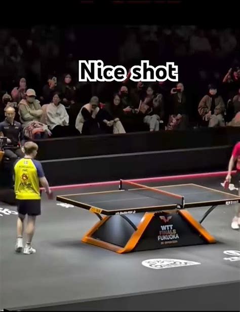 Shortfeed Shortsfeed Shortsviral Shorts Short Viralshort