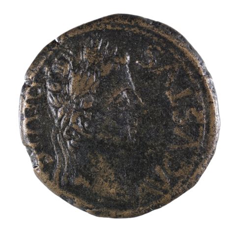 Cabeza De Augusto L Avfid Pansa Sex Pomp Nigro Colección Museo