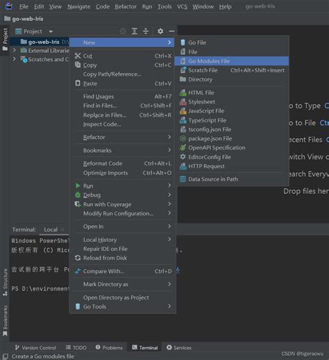 Go Lris框架学习笔记iris 热更新 Csdn博客