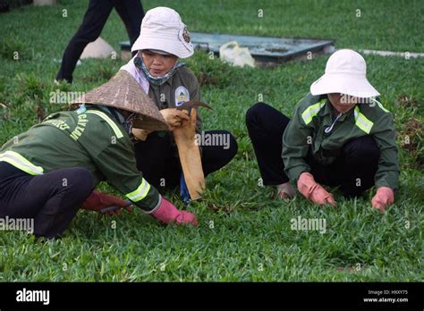 Workers Cutting The Grass The Old Fashioned Way At The Beach Side Park