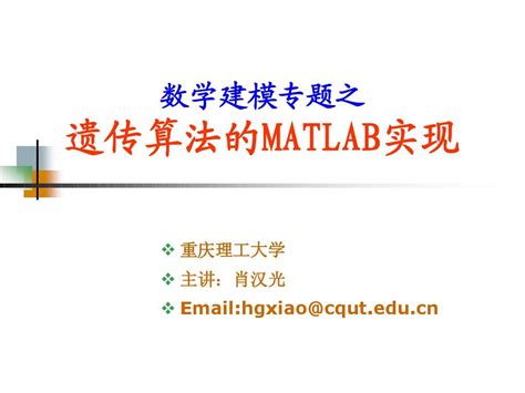 遗传算法的matlab实现word文档在线阅读与下载无忧文档