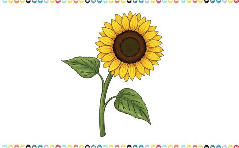How To Draw A Sunflower An Easy Step By Step Guide