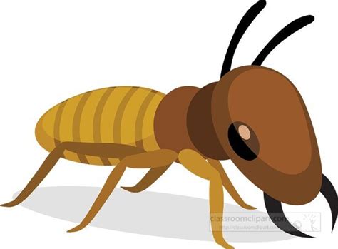 Termite Small Insect Feeds On Wood Clipart Classroom Clip Art