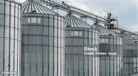 밀 옥수수 콩 저장 및 곡물을 위한 엘리베이터 곡물 저장 농업 창고 기업식 농업 0명에 대한 스톡 사진 및 기타 이미지 0명 건물 외관 건설 기계류 Istock