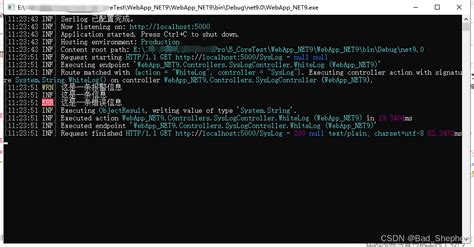 Asp Net Core 学习（net9）serilog日志整合net9 Serilog模版 Csdn博客