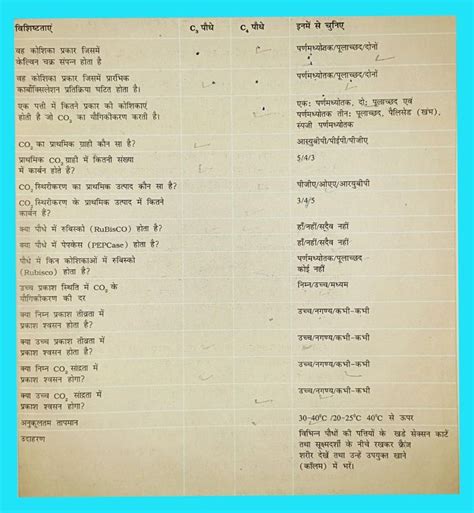 Difference Between C3 And C4 Cycle