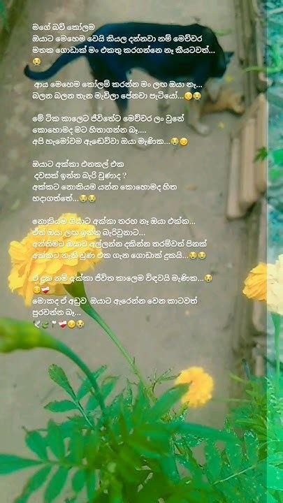 😔😭💔🐶 තාමත් හිතා ගන්න බෑ ඔයා දැන් නෑ කියලා ඒක හීනයක් වගේ 😭🐶 ️😔 Viral Srilanka Trending Shorts