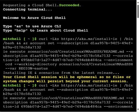 Initial Commands Injected Twice · Issue 65 · Azureinnovationengine