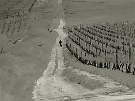 How To Detect Water Leaks And Do Home Inspections With Thermal Imaging