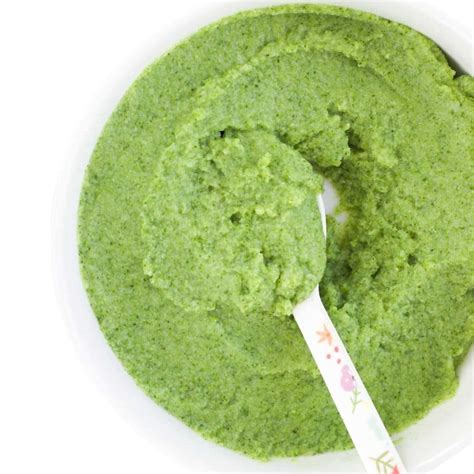 Broccoli Puree Healthy Little Foodies