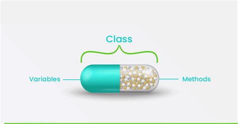 Objectorientedprogramming Codingconcepts Programmingessentials Softwaredevelopment