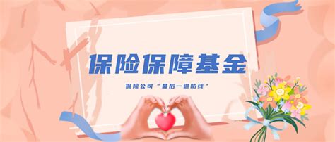 为什么「保险保障基金」被称为保险公司“最后一道防线” 知乎