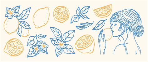 손으로 그린 이탈리아 여름 방학 레몬 과일 세트 스케치 낙서 감귤류 열대 컷 레몬 나뭇가지 꽃 여자 패턴 포스터 카드 배너에 대 한 벡터 여름 디자인입니다 낙서 드로잉에
