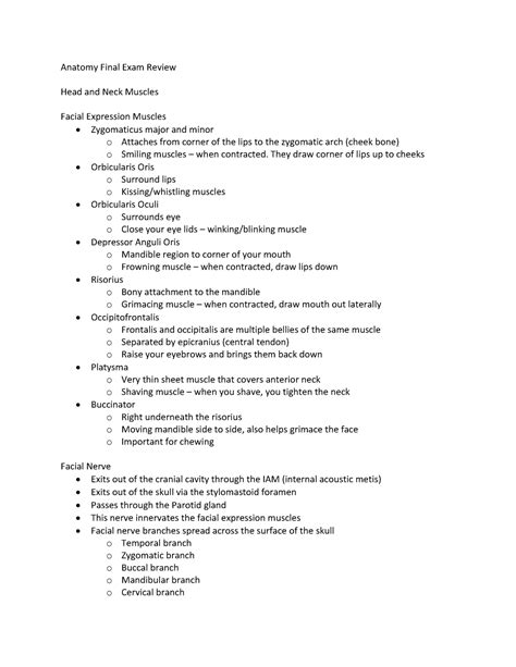 Anatomy Final Exam Review Warning Tt Undefined Function 32 Anatomy Final Exam Review Head