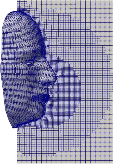 A 2d Slice Of The 3d Computational Domain Using An Advanced Technique Download Scientific