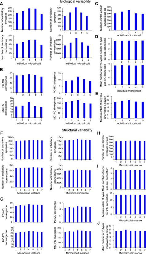 Reconstruction And Simulation Of Neocortical Microcircuitry Cell