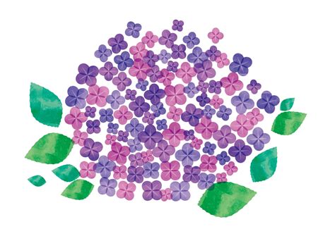 あじさい イラスト かわいい フリー イラスト 紫陽花 無料あじさい Zeapst