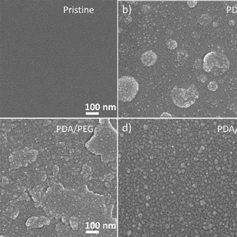 The Cross Sectional SEM Images For A Pristine SiO 2 Coated Si Slide Download Scientific